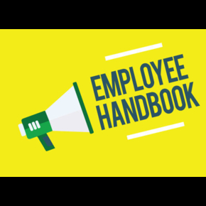 What all must Intern Handbook Include?