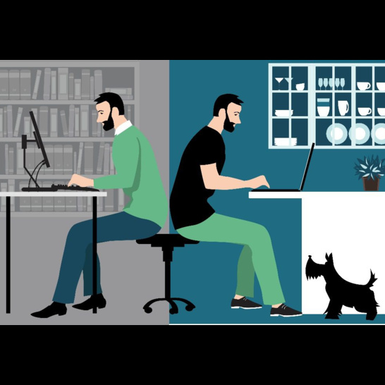 7 Tips for Interns to Grow While Adapting With Organisational Changes